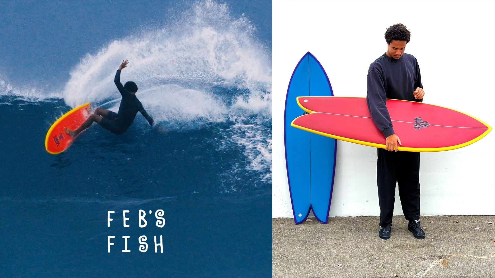 Watch: Feb's Fish Breakdown with Mikey February – Channel Islands ...